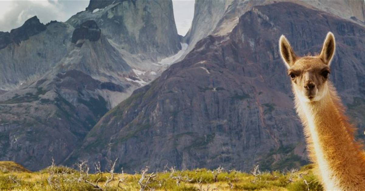 Explore Exceptional Travel Solutions | Contact Inspira Holding