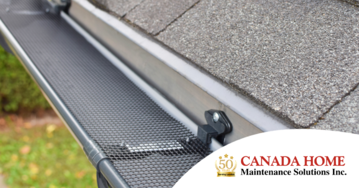 8 Types of Gutter Guards for London Homeowners